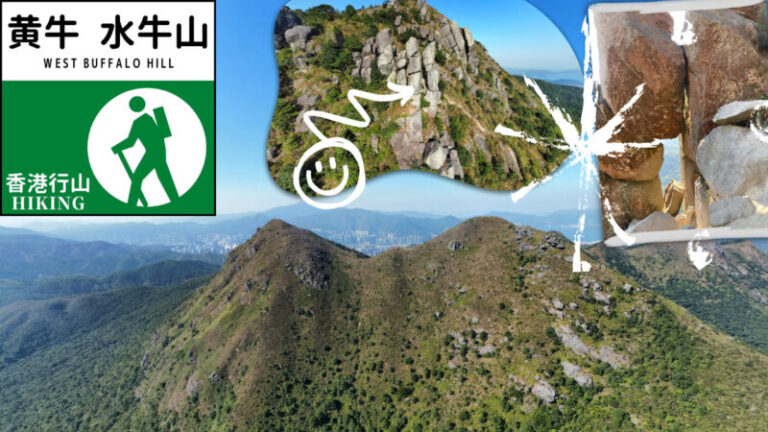 【香港トレイル】|水牛山-黄牛山| 🦬 Buffalo Hill 🪨 黃牛石城 ~インスタ撮り超有名Spot📷 | 香港トレイル図鑑